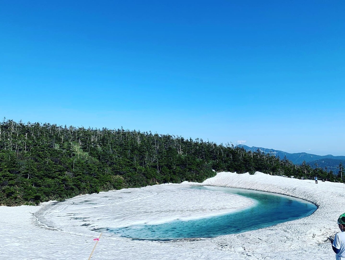 2022年今年のドラゴンアイ🐉 2週... / AYUMIさんのモーメント | YAMAP / ヤマップ