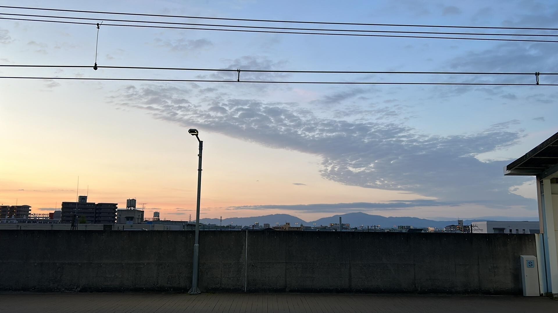 シャクナゲ咲く比良山地最高峰〜武奈ヶ岳 / KOH-Z(オッサン釣り倶楽部)さんの比良山地・武奈ヶ岳・釈迦岳の活動データ | YAMAP / ヤマップ