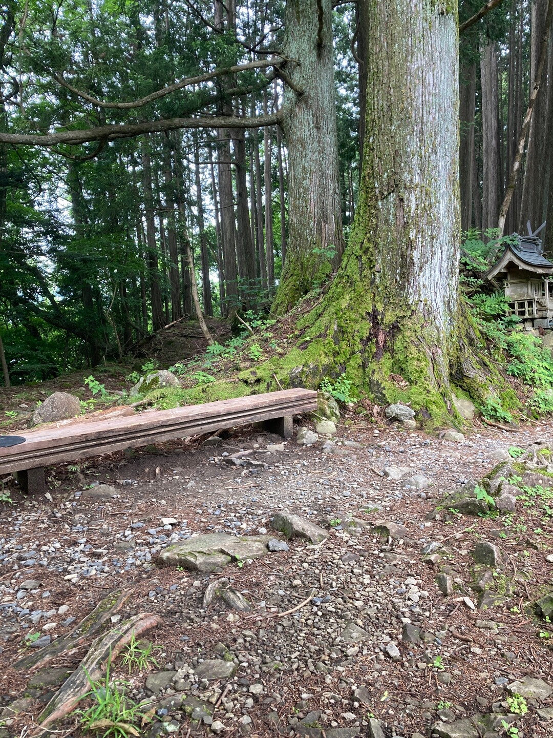 naokiさんの投稿したフィールドメモ | YAMAP / ヤマップ