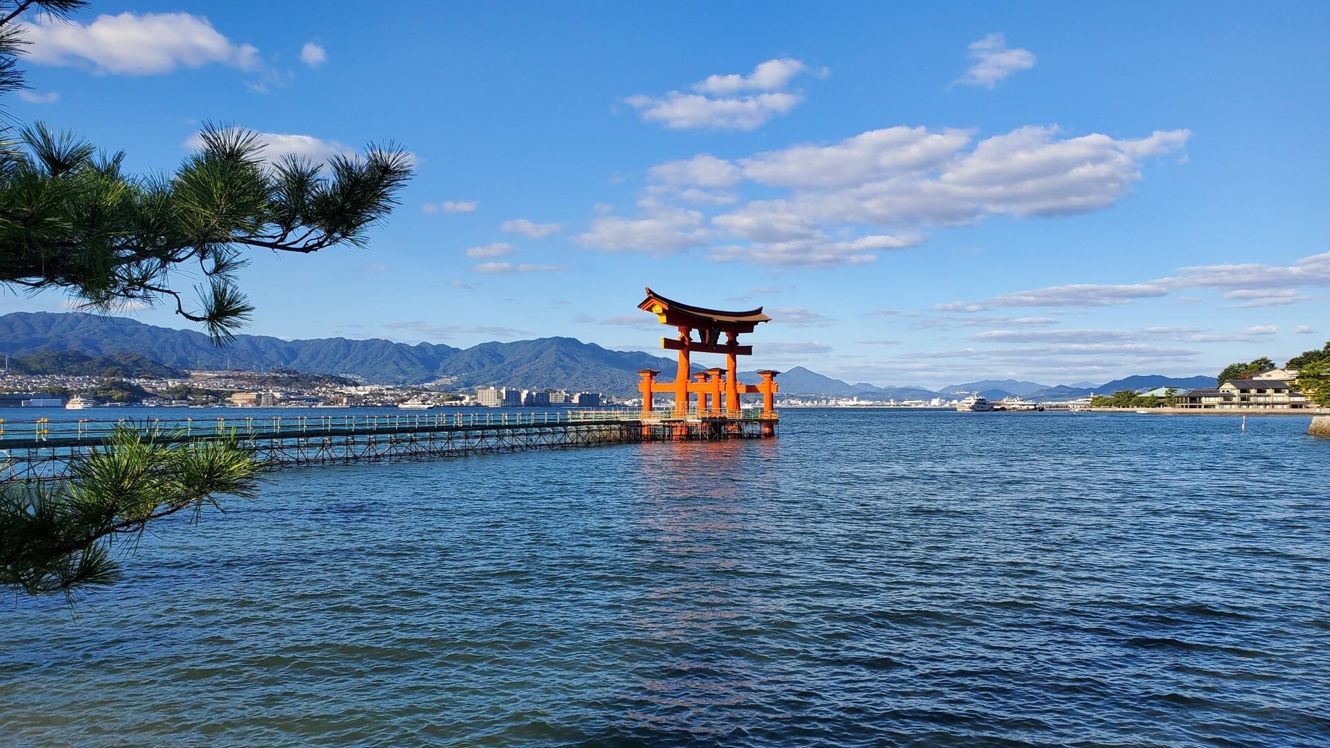 宮島弥山で見つけた珍石仏の紹介 釈迦三... / hirobonさんのモーメント | YAMAP / ヤマップ
