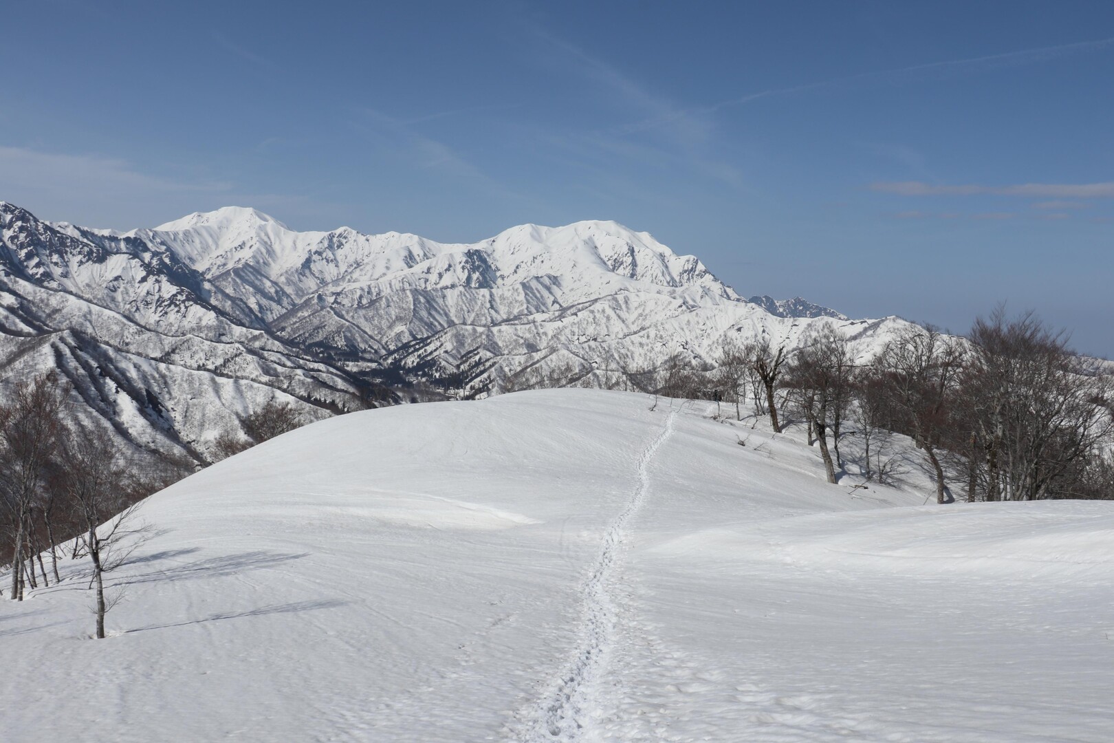 日向倉山と花偵察 / Yutaさんの未丈ヶ岳の活動データ | YAMAP / ヤマップ