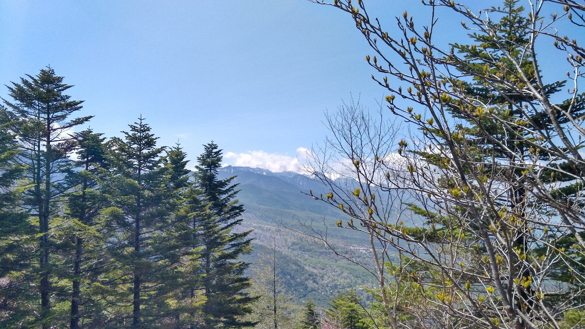 Kojiさんの投稿したフィールドメモ | YAMAP / ヤマップ