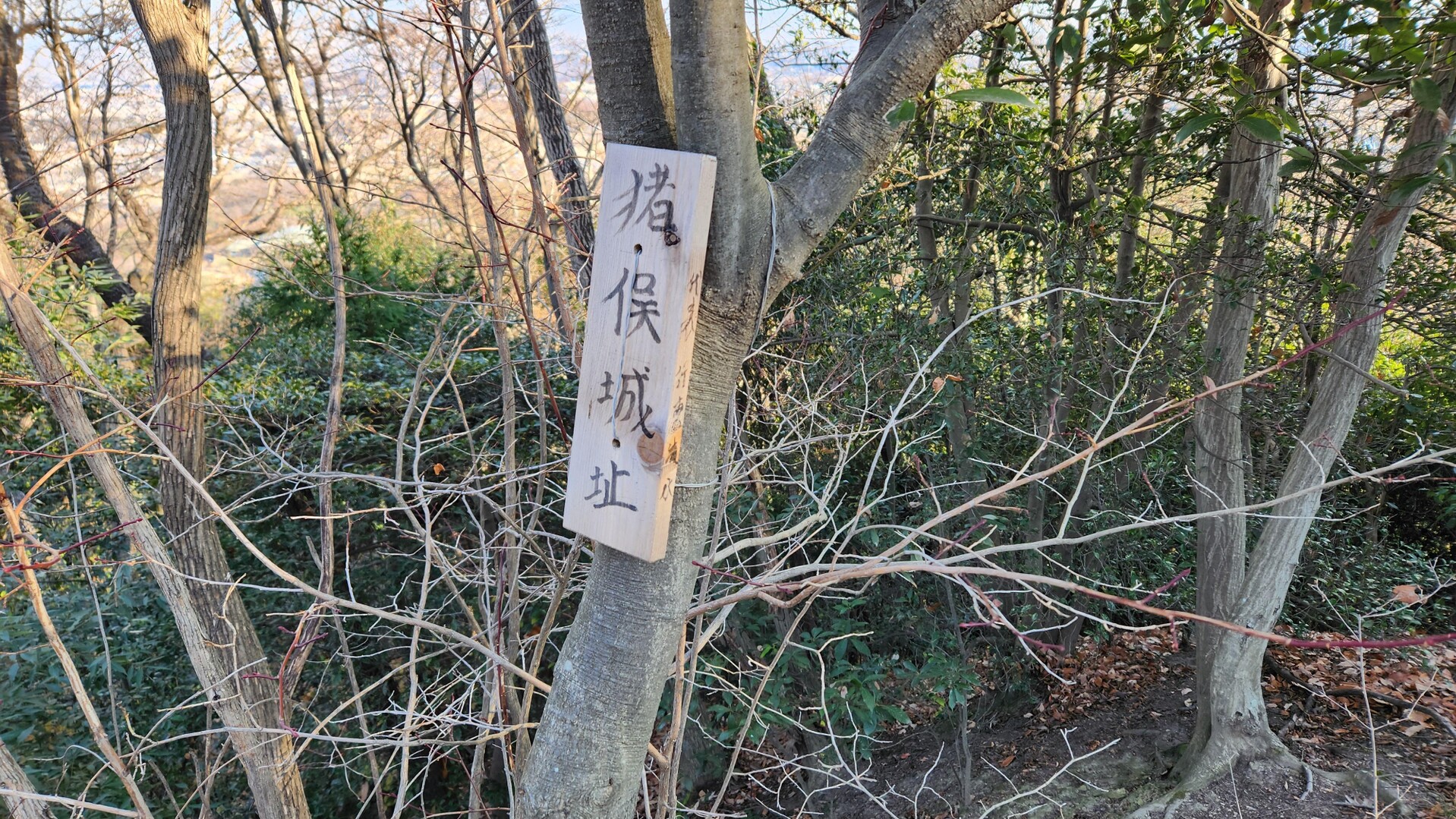 鐘撞堂山・猪俣城址・虎ヶ岡城址 / dxcさんの宝登山・長瀞アルプス・不動山・陣見山・鐘撞堂山の活動データ | YAMAP / ヤマップ