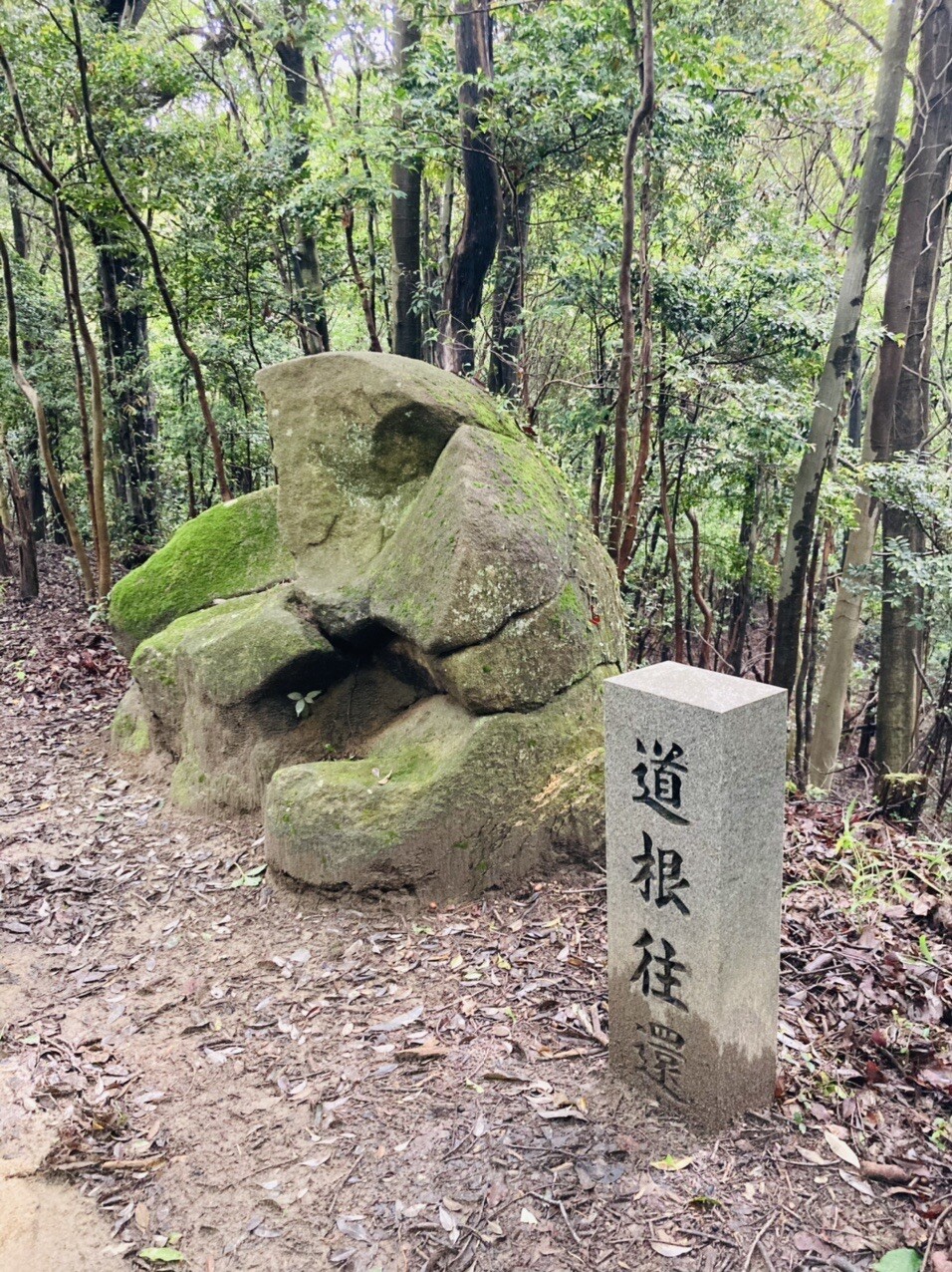 道根往還 東公園からやすらぎ公園まで / いのししさんのウォーキングの活動データ | YAMAP / ヤマップ