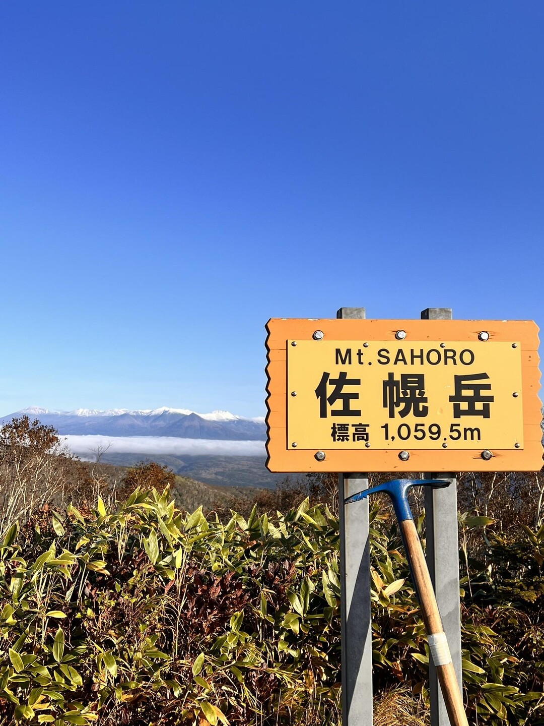 雪虫がヤチダモノの木🌲に もぐり込む前... / Akkunn Ikeさんのモーメント | YAMAP / ヤマップ