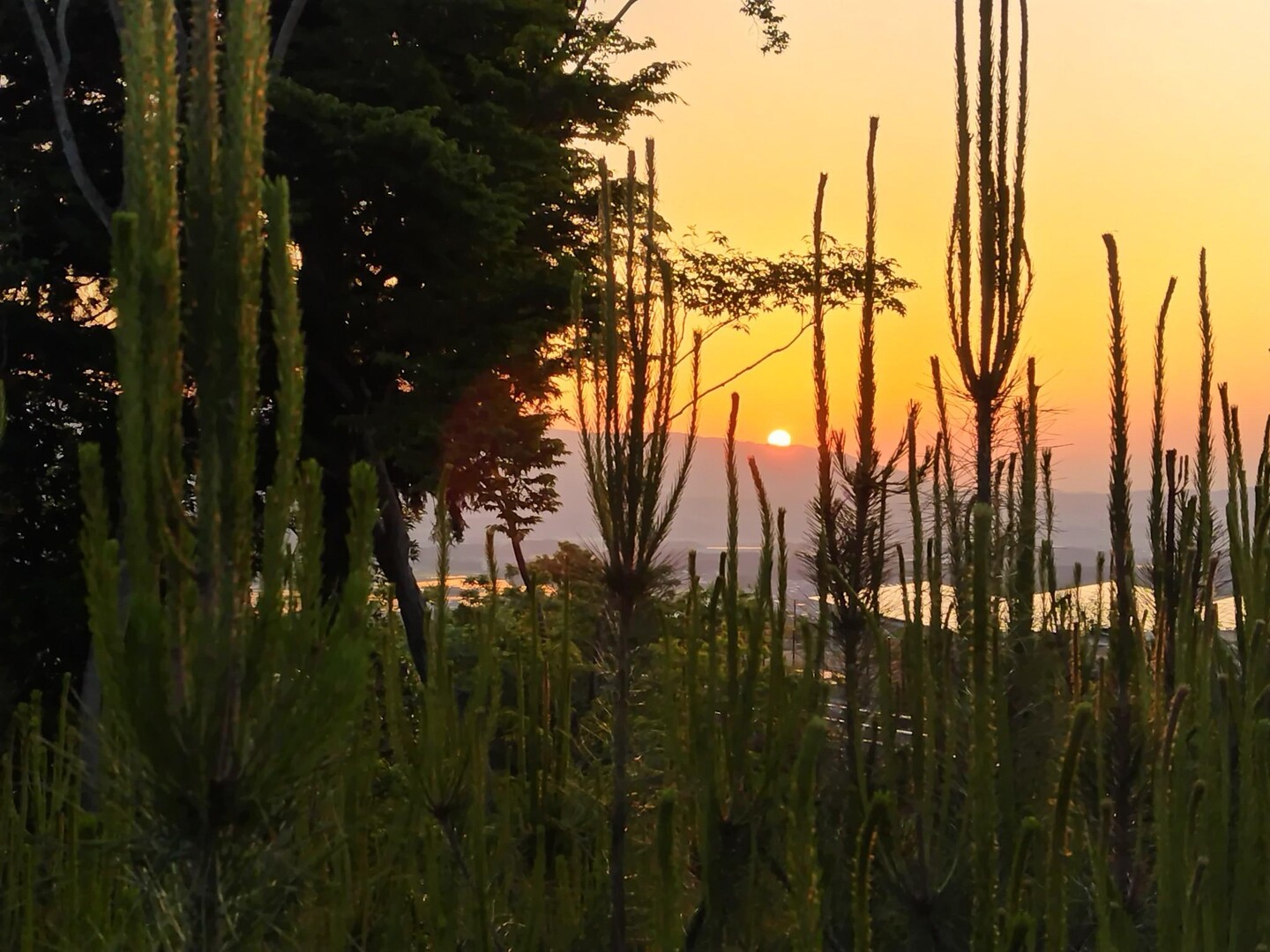 今日は軽めで〜 / mktさんの竜ヶ岳の活動データ | YAMAP / ヤマップ