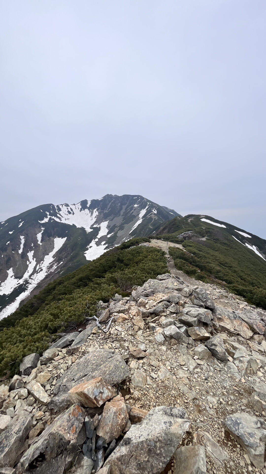 仙丈ヶ岳(1日目) / Takakoさんの仙丈ヶ岳・伊那荒倉岳の活動データ | YAMAP / ヤマップ