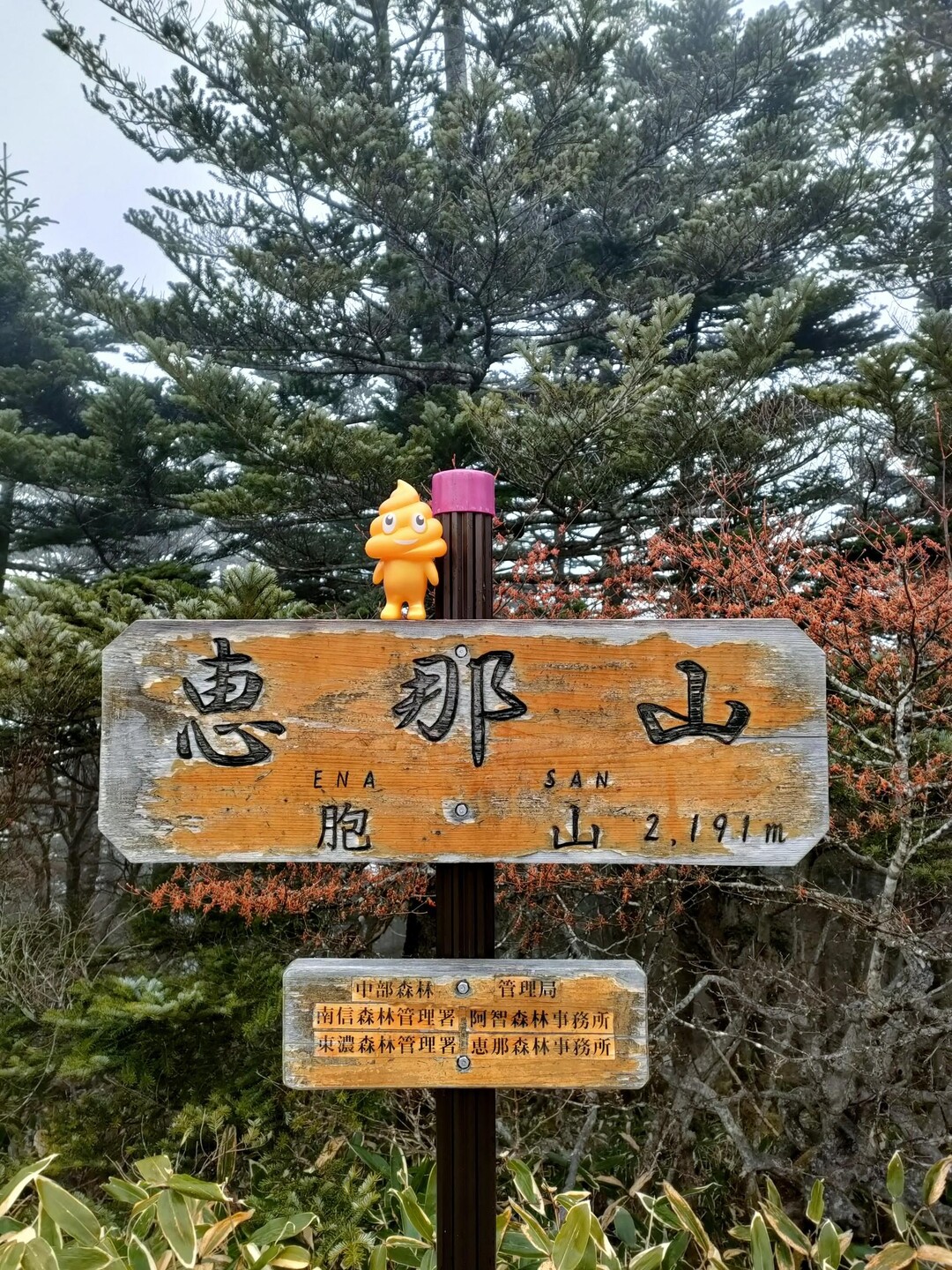 往復4kmプラスされた恵那山 / まめぴろんさんの恵那山・大判山・神坂山の活動データ | YAMAP / ヤマップ