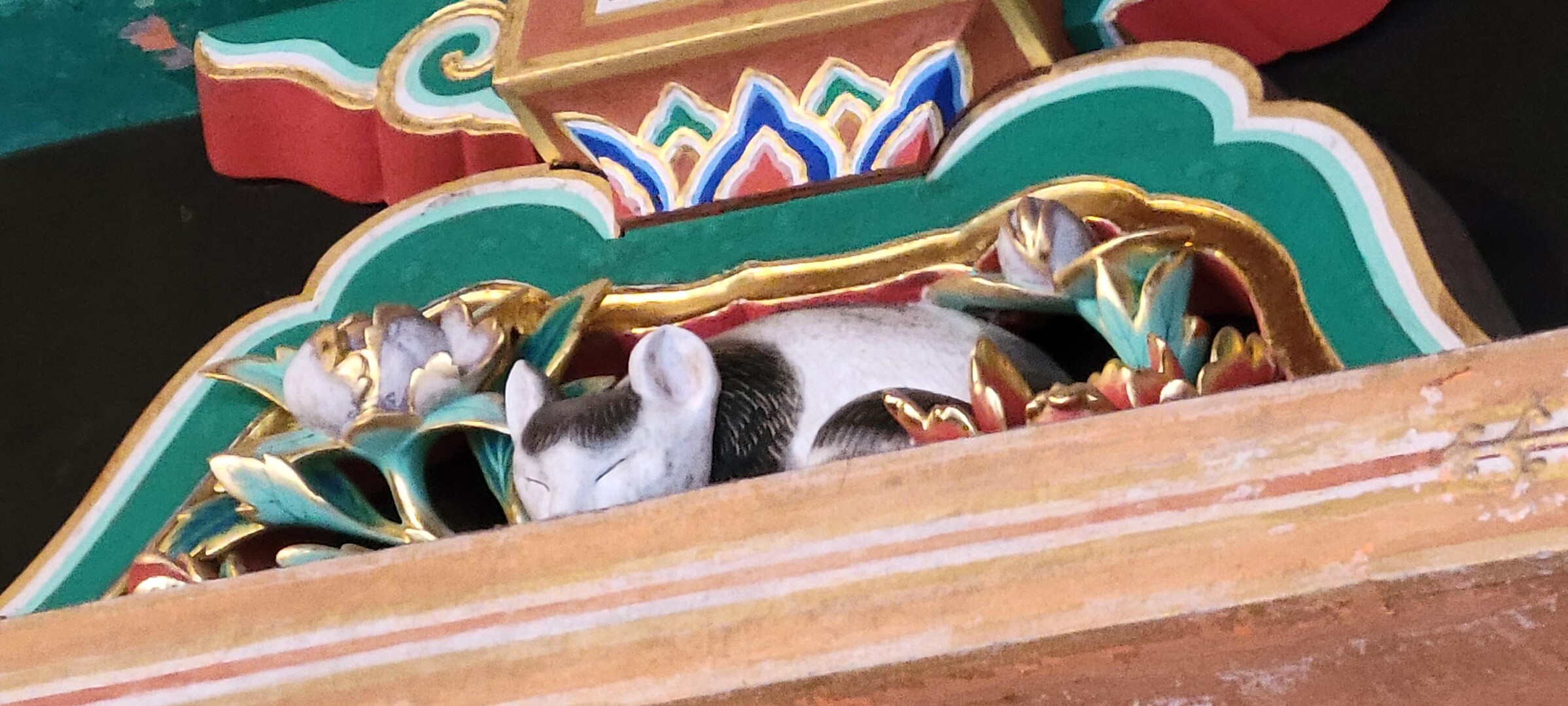 日光東照宮ウォーキング / himeさんのウォーキングの活動データ | YAMAP / ヤマップ