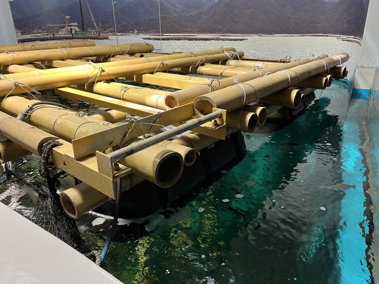 弥山・宮島水族館 / TOP ROPE さんの宮島（厳島）・弥山の活動データ | YAMAP / ヤマップ