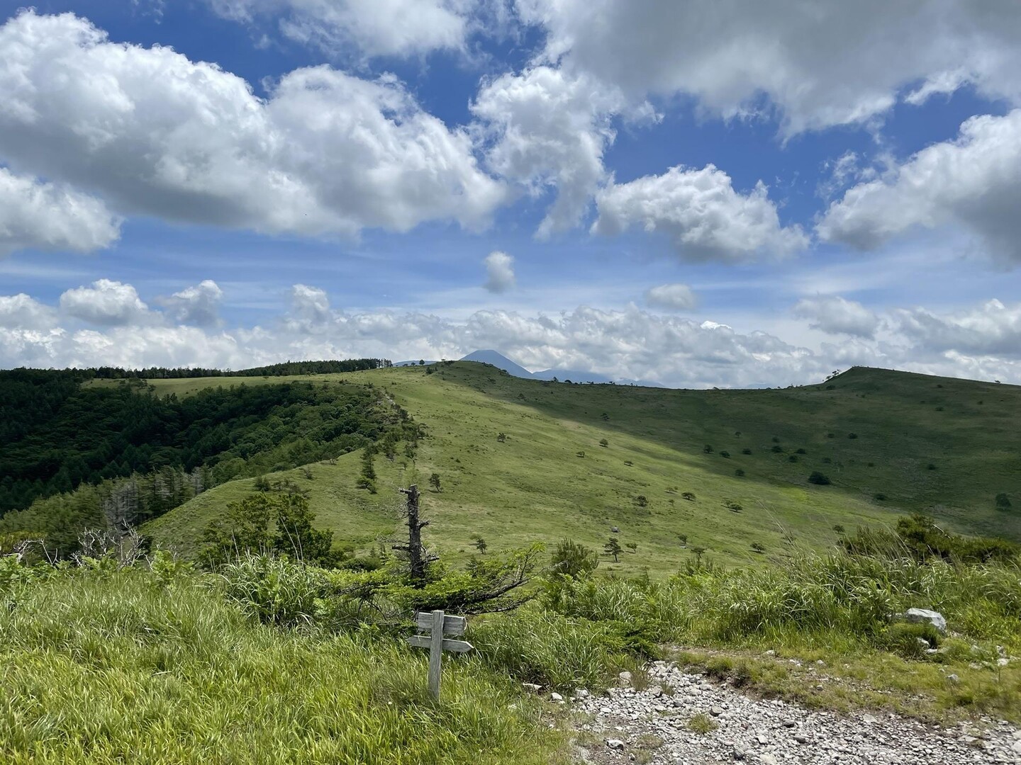 車山・南・北の耳・ゼブラ山 / Vega-tanさんの霧ヶ峰・車山・大笹峰の活動データ | YAMAP / ヤマップ