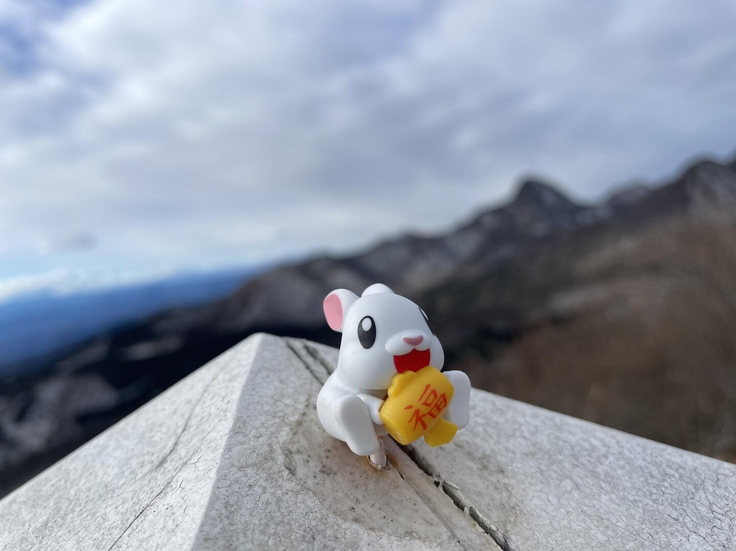 浅間山(水沢山) 3 / Ayaka☪︎⋆｡˚ さんの榛名山・天狗山・天目山の活動データ | YAMAP / ヤマップ
