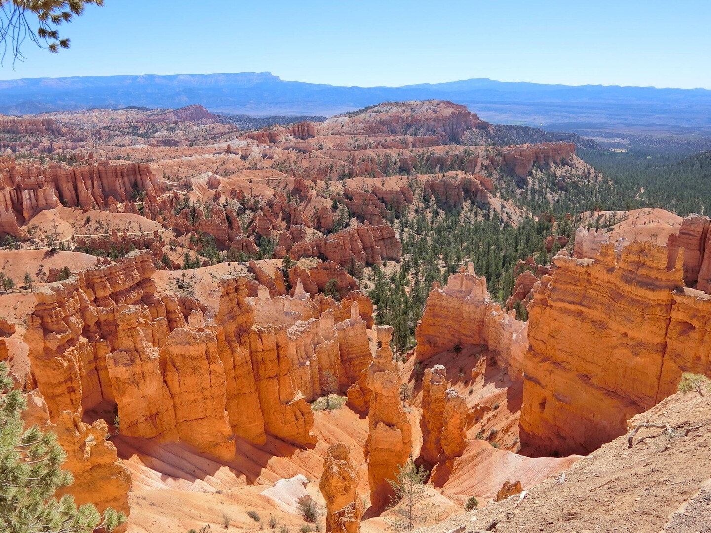 アメリカ、ユタ州ブライスキャニオン国立公... / Mimiさんのモーメント | YAMAP / ヤマップ