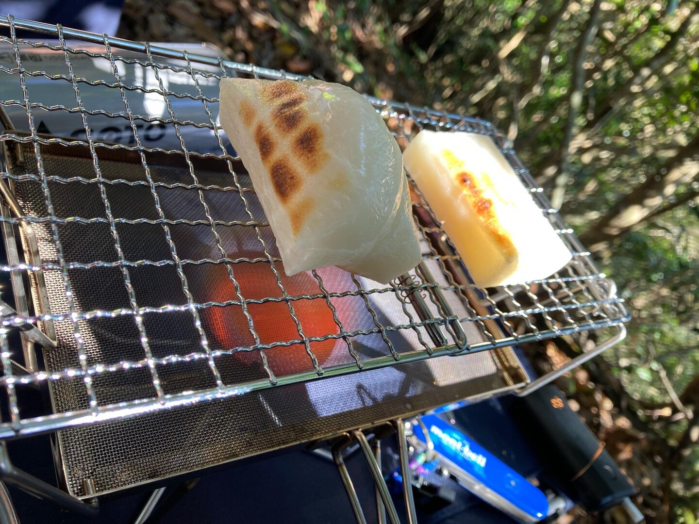 第29回・牧ノ山・牧II峰（青牧山） / ようこさんの黒髪山・青螺山の活動データ | YAMAP / ヤマップ