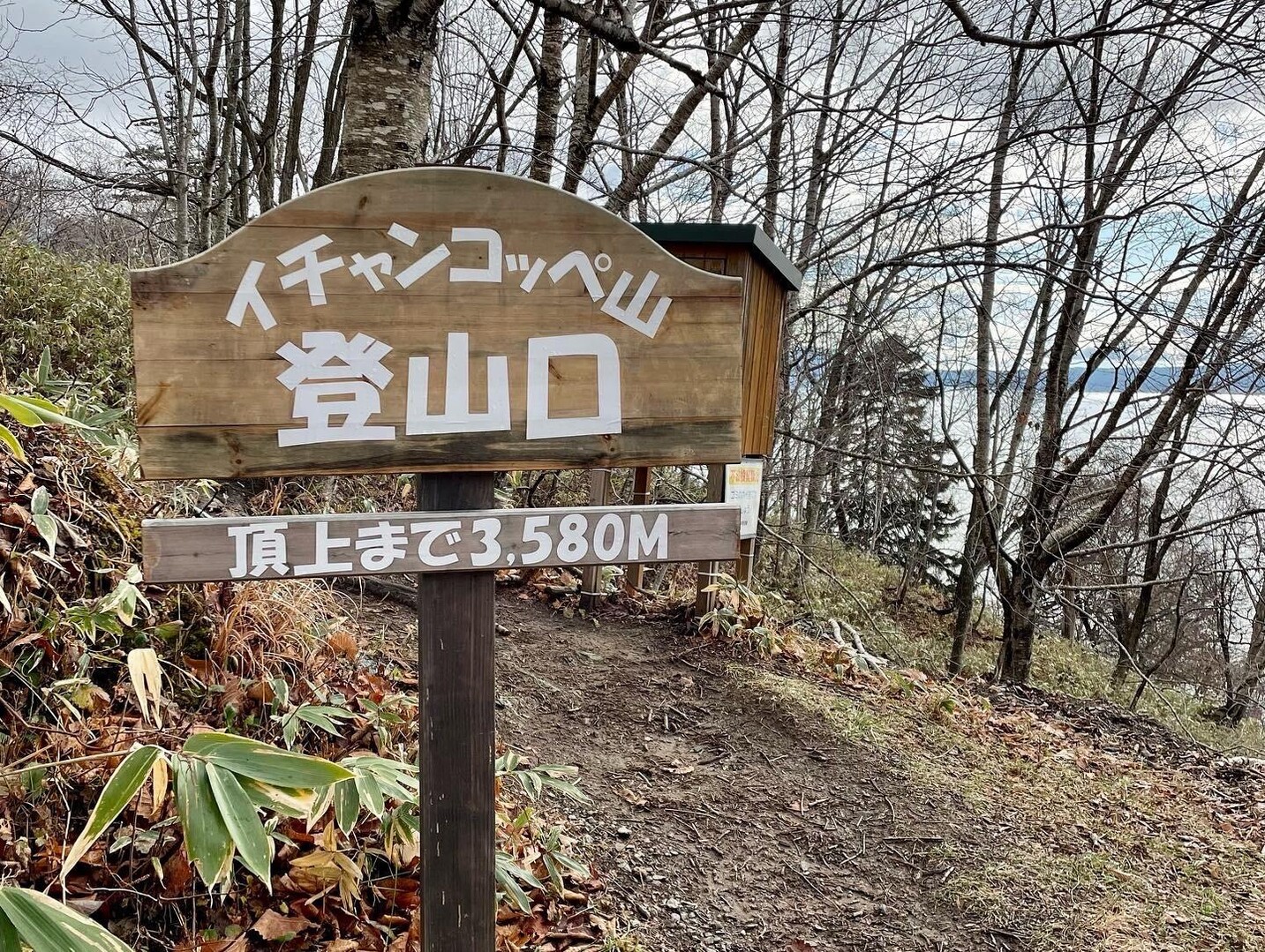 イチャンコッペ山-2022-11-19 / ayakaさんのイチャンコッペ山の活動データ | YAMAP / ヤマップ