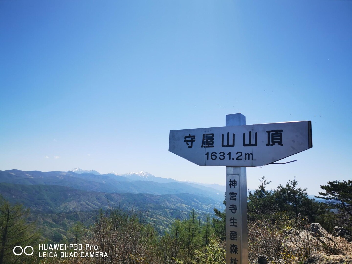 2024GW甲信遠征後半戦 三日目、最後は守屋山🤣 / tomoぞーさんの守屋山の活動データ | YAMAP / ヤマップ