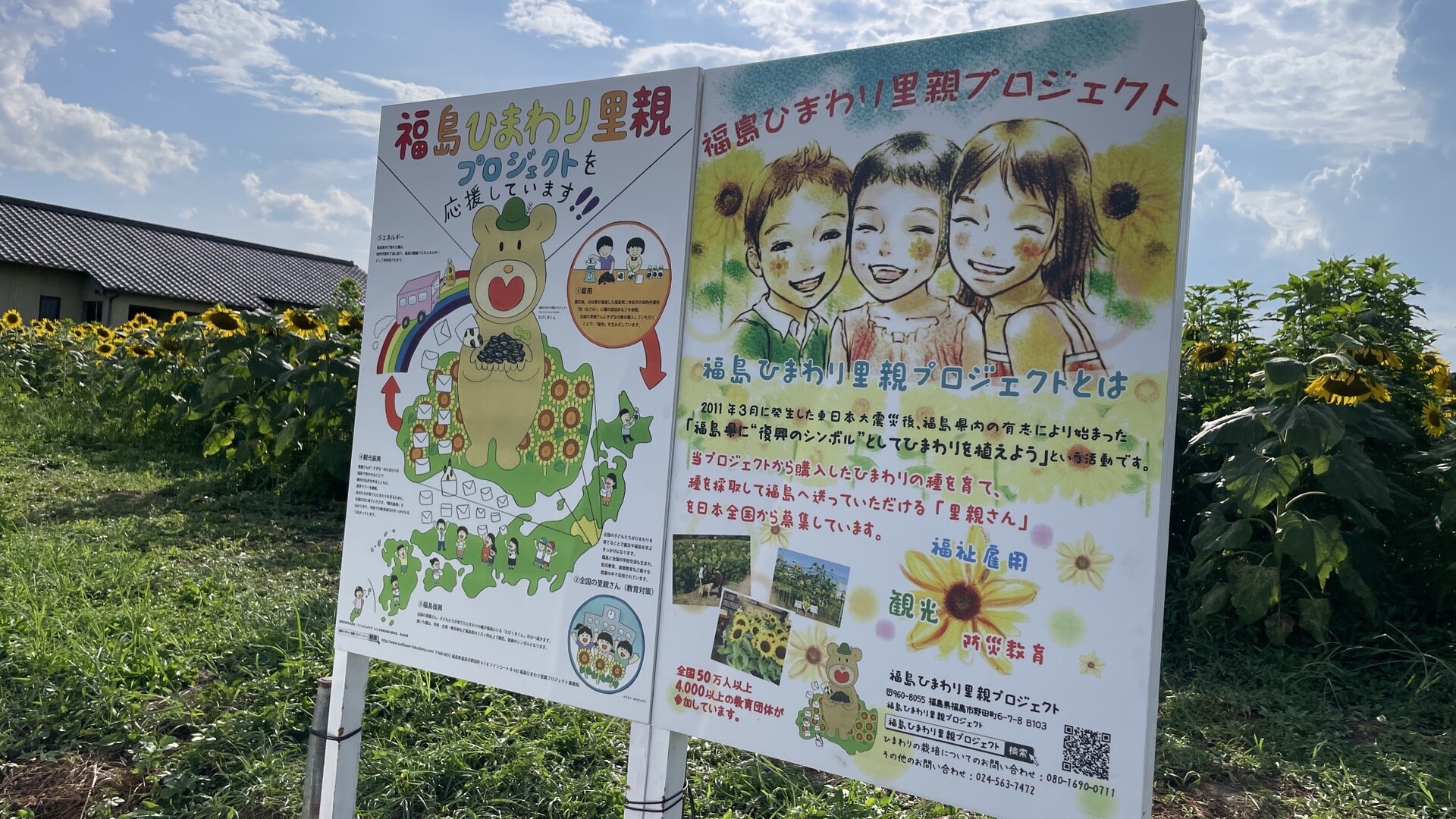 三光佐知地区のひまわり畑🌻🌻 中津市... / Haroldさんのモーメント | YAMAP / ヤマップ