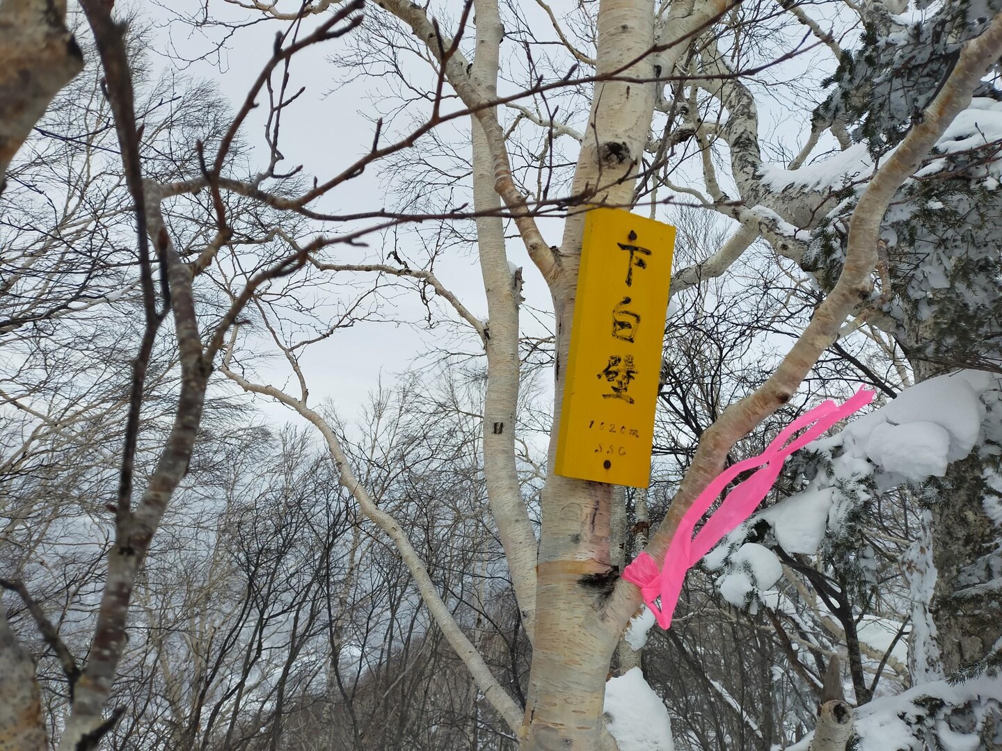 タケノコ山・下白壁 / kami415さんの余市岳・定山渓天狗岳の活動データ | YAMAP / ヤマップ