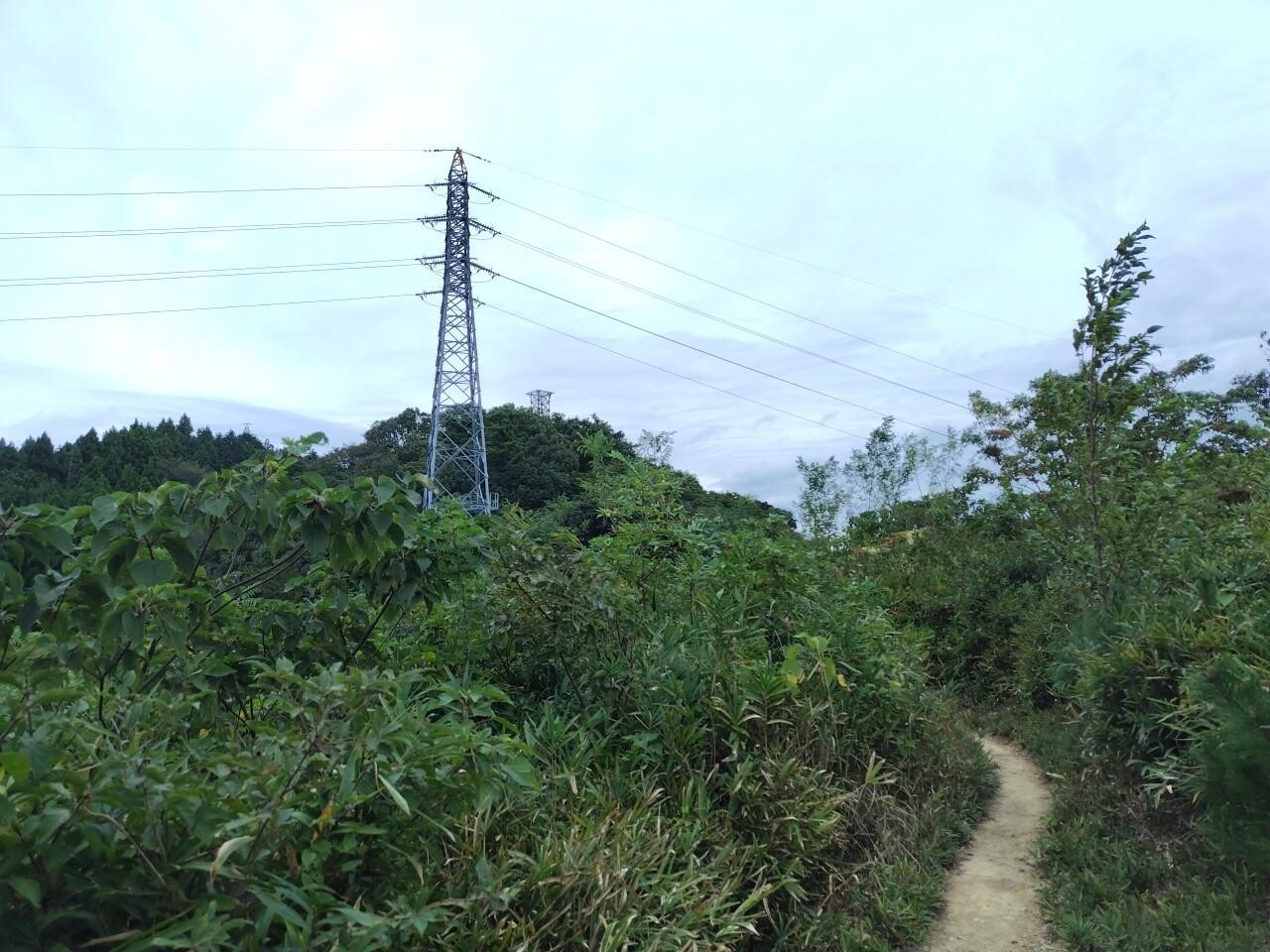 朝の裏山散歩 いつもの風横七 / shigさんの六甲山・長峰山・摩耶山の活動データ | YAMAP / ヤマップ