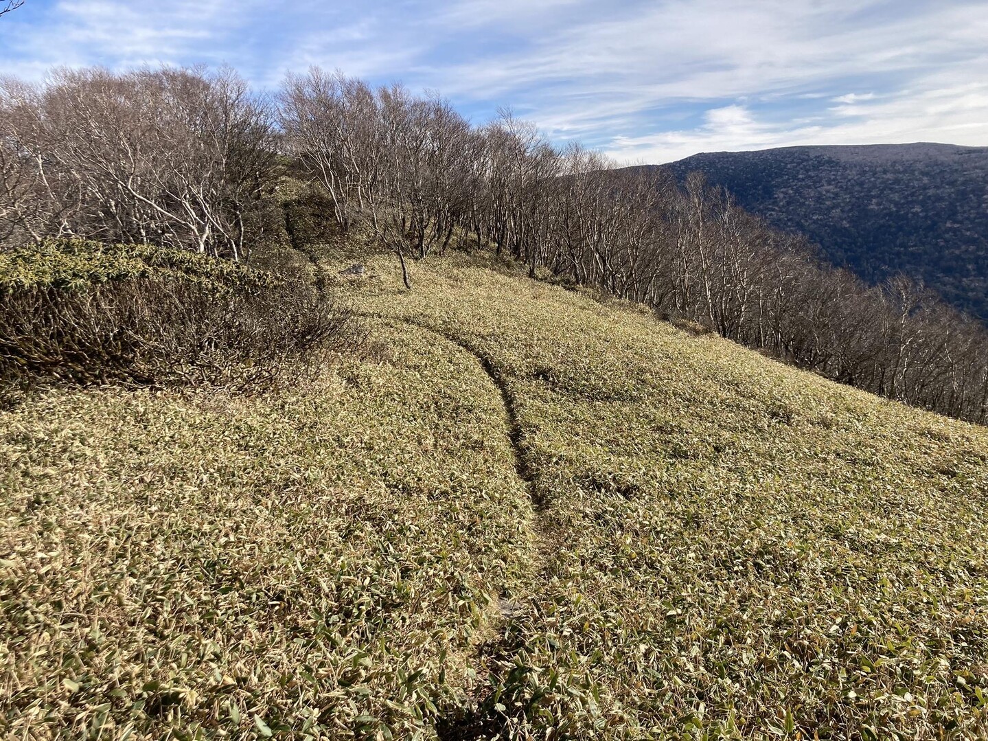 愛染山 / chanmikiさんの五葉山・愛染山の活動データ | YAMAP / ヤマップ