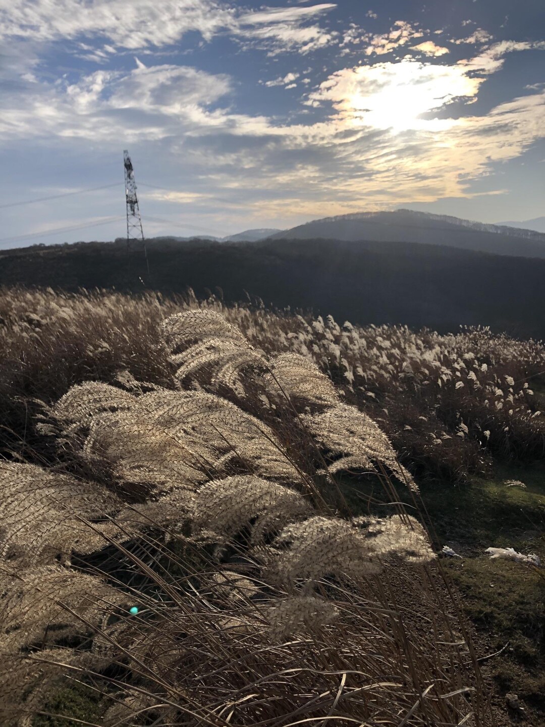 赤坂山・寒風 / aspiさんの三国山・乗鞍岳・赤坂山の活動データ | YAMAP / ヤマップ