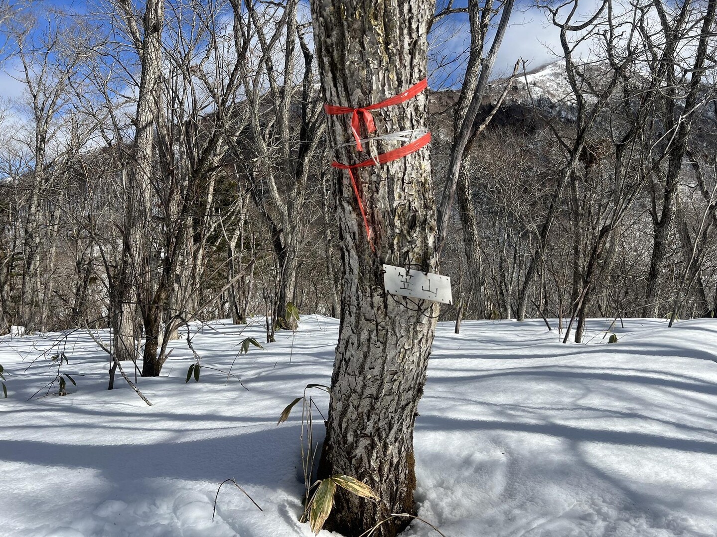 2024.02.18.飯縄山 / San-Sunさんの飯縄山の活動データ | YAMAP / ヤマップ