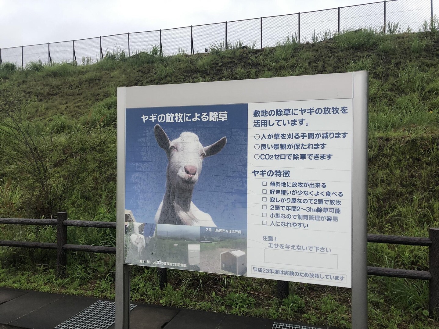 甲府周辺マイカーハイク②（米倉山） / kiyoさんの甲府市の活動データ | YAMAP / ヤマップ