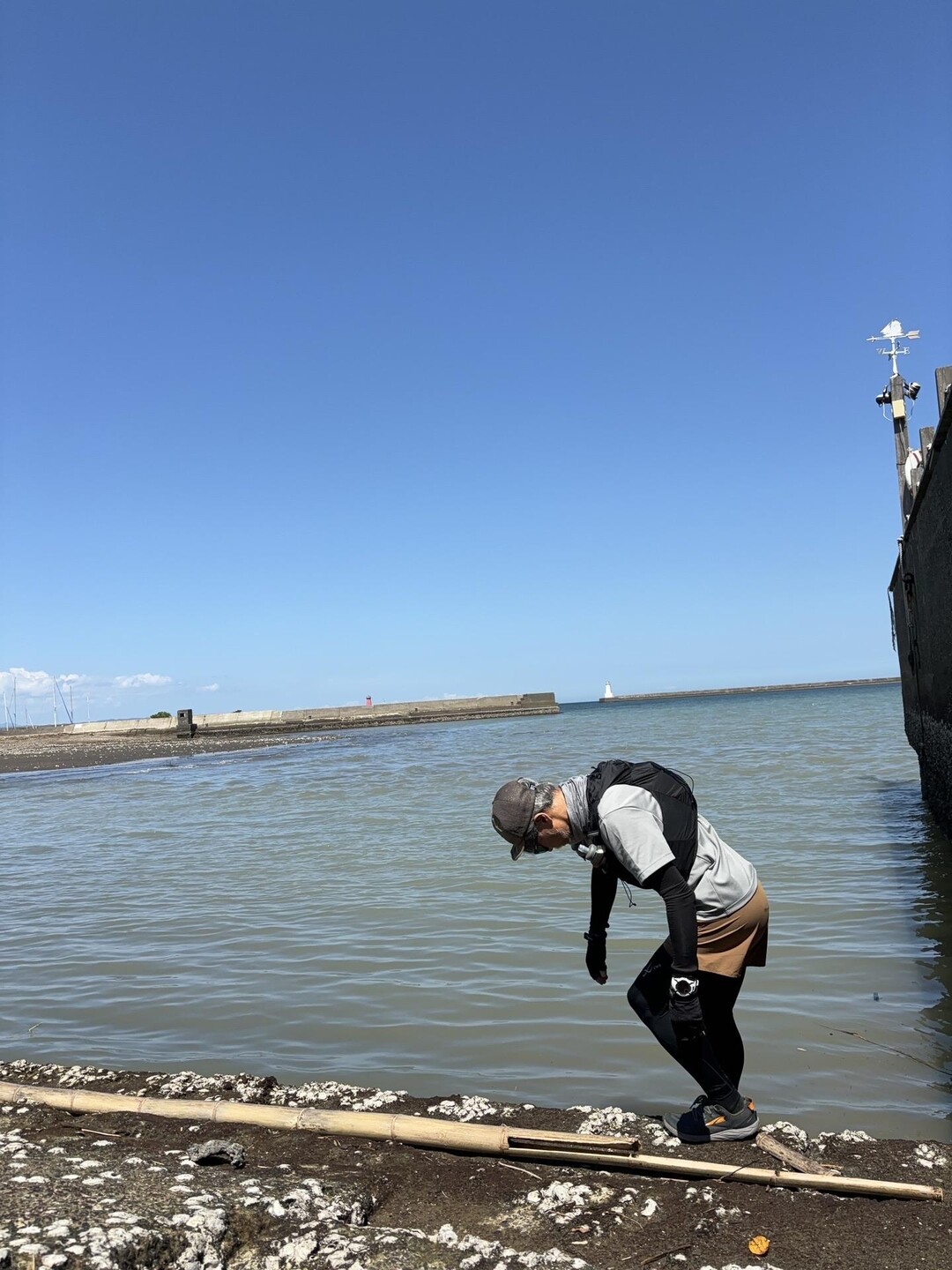 かんたん港園〜高崎山🤭 / masahiro_uchida_さんの高崎山の活動データ | YAMAP / ヤマップ
