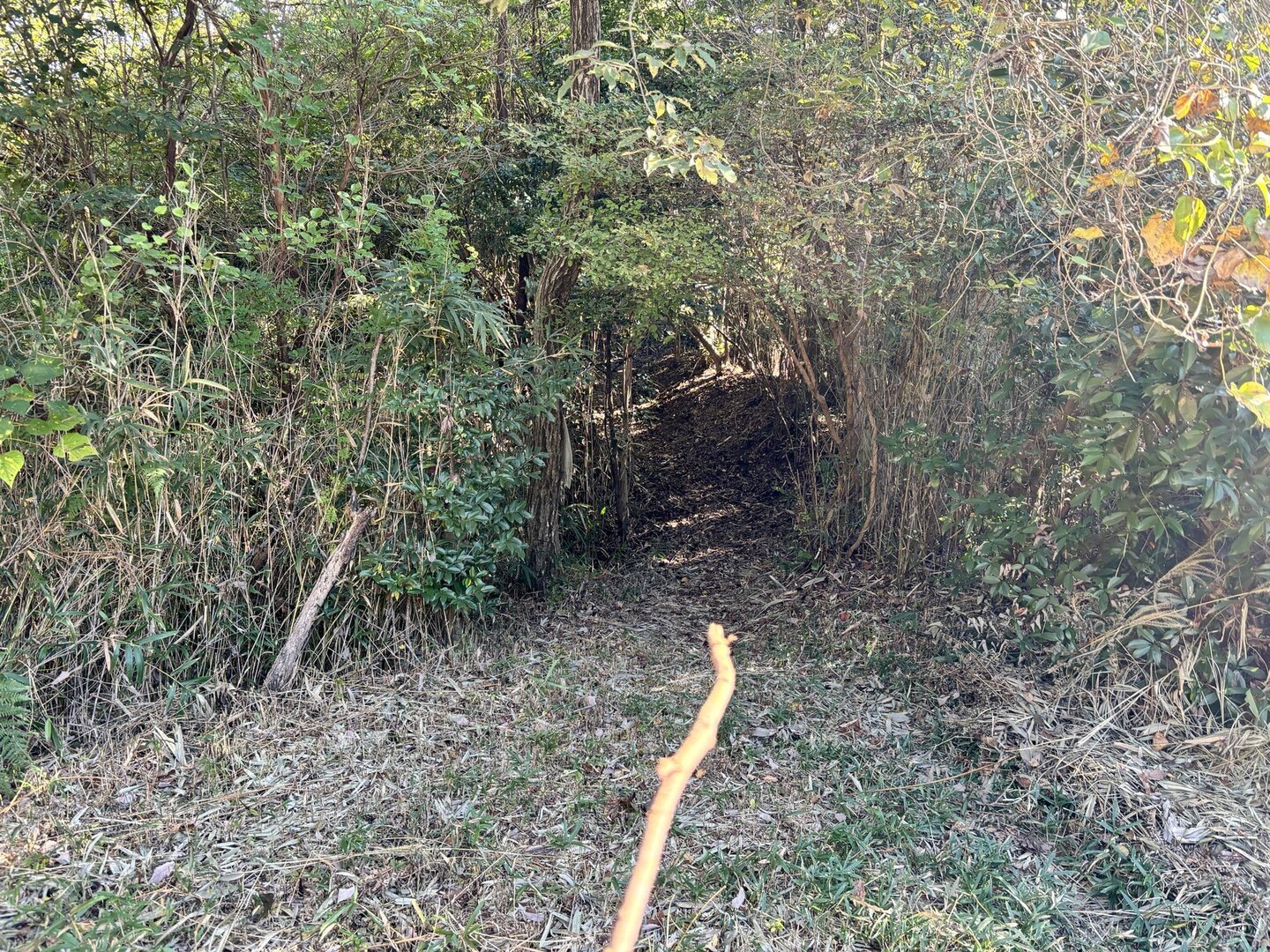 nonpui(ノンプイ)さんの投稿したフィールドメモ | YAMAP / ヤマップ