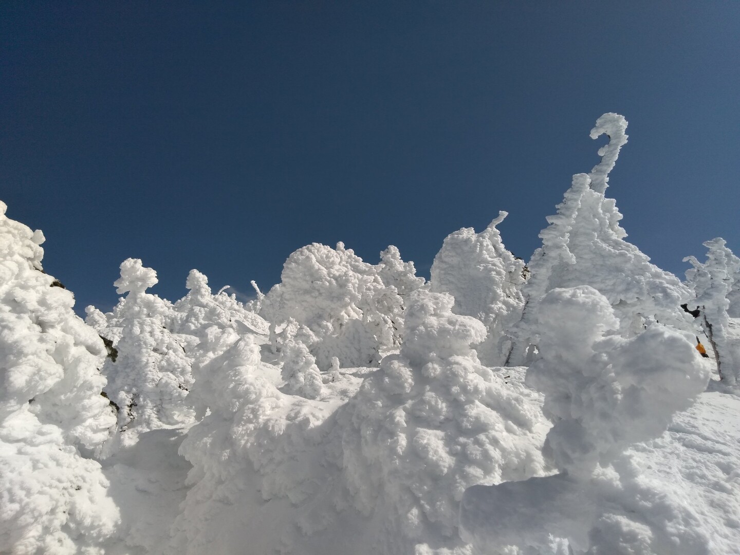 解けてなかった！スノーモンスター西吾妻山 2020-02-22 / Berryさんの吾妻山・一切経山の活動データ | YAMAP / ヤマップ