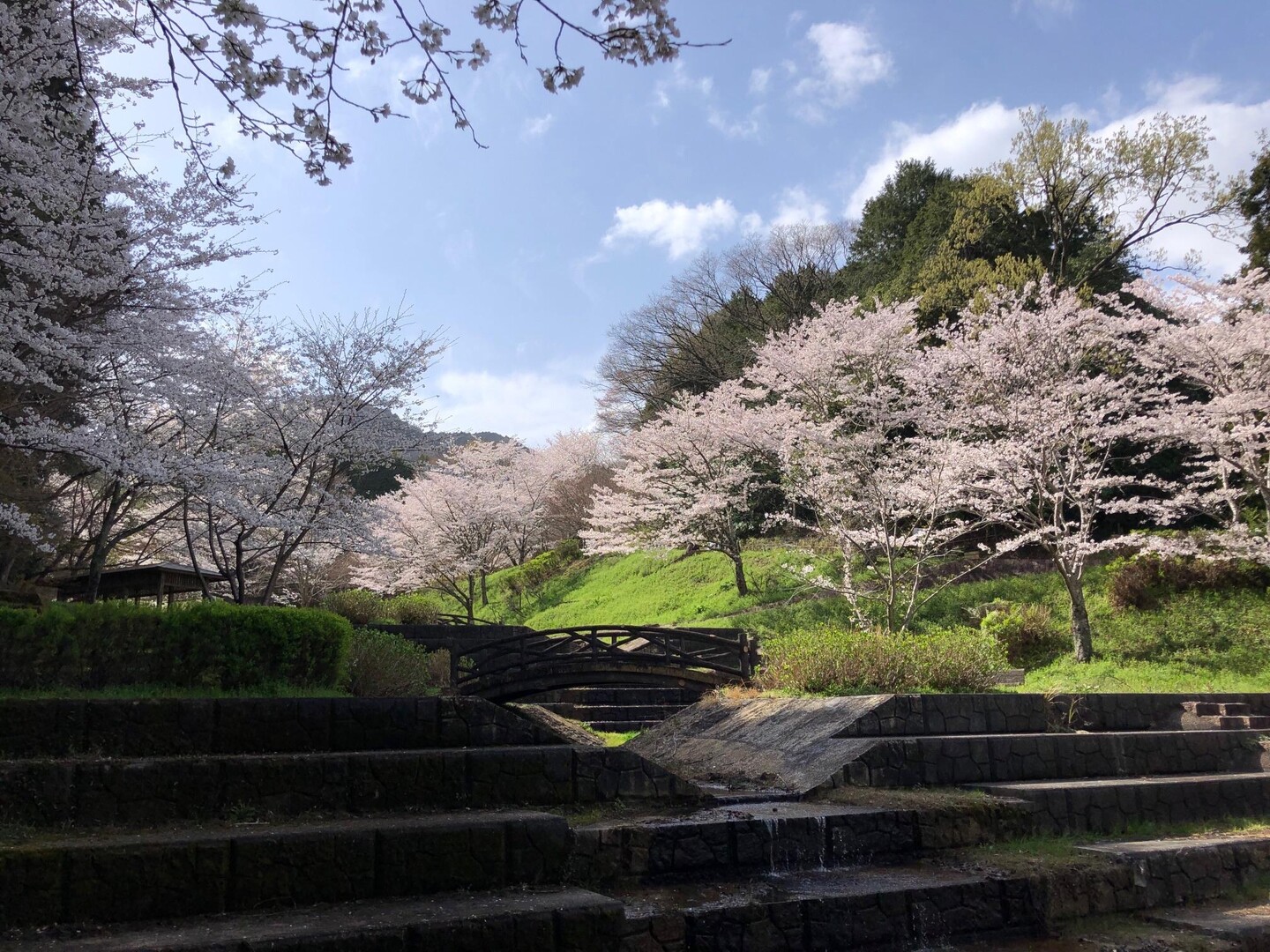 STM(柏原～二上山～當麻寺) / sawaさんの金剛山・二上山・大和葛城山の活動データ | YAMAP / ヤマップ