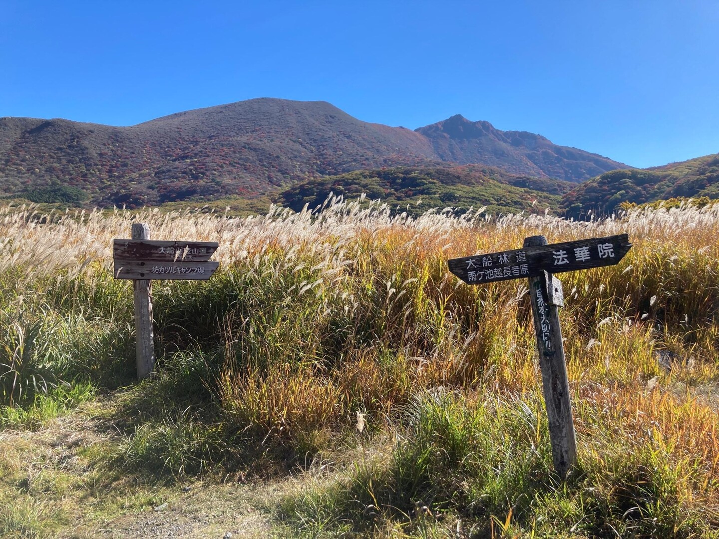 坊ガツル2日目 / Leeさんの九重山（久住山）・大船山・星生山の活動データ | YAMAP / ヤマップ