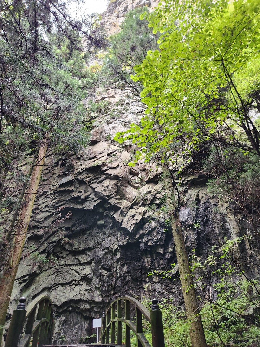 柳木ヶ峰・子持山 / keiさんの子持山の活動データ | YAMAP / ヤマップ