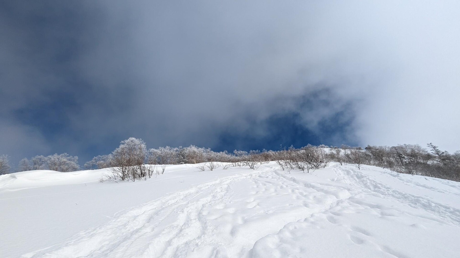 飯縄山（飯綱山） / HRDさんの飯縄山の活動データ | YAMAP / ヤマップ