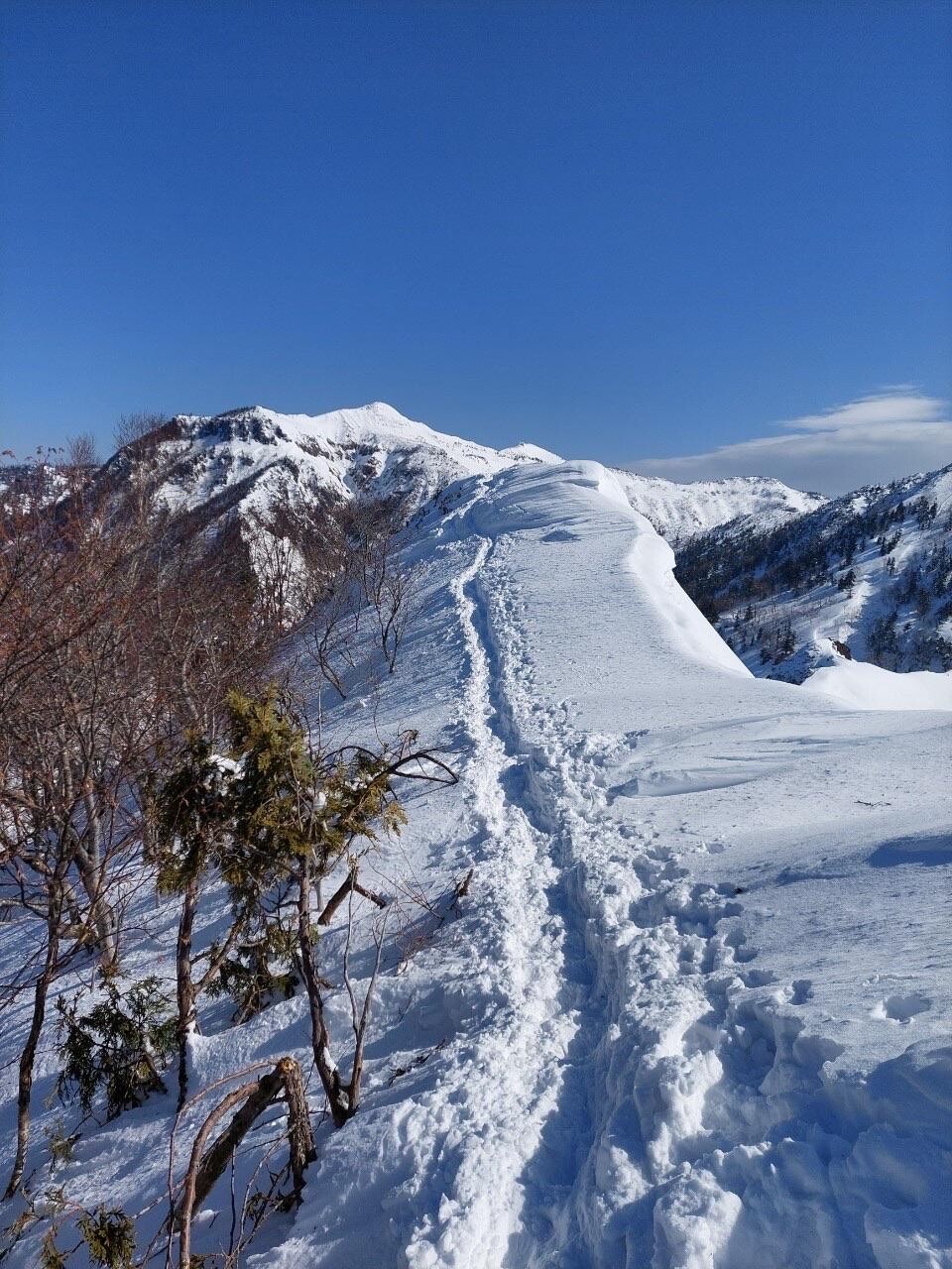 鹿俣山→獅子ヶ鼻山 ️ / Keiさんの武尊山・鹿俣山・尼ヶ禿山の活動日記 | YAMAP / ヤマップ