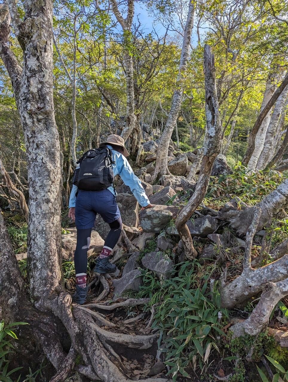 Yukaのページ | YAMAP / ヤマップ