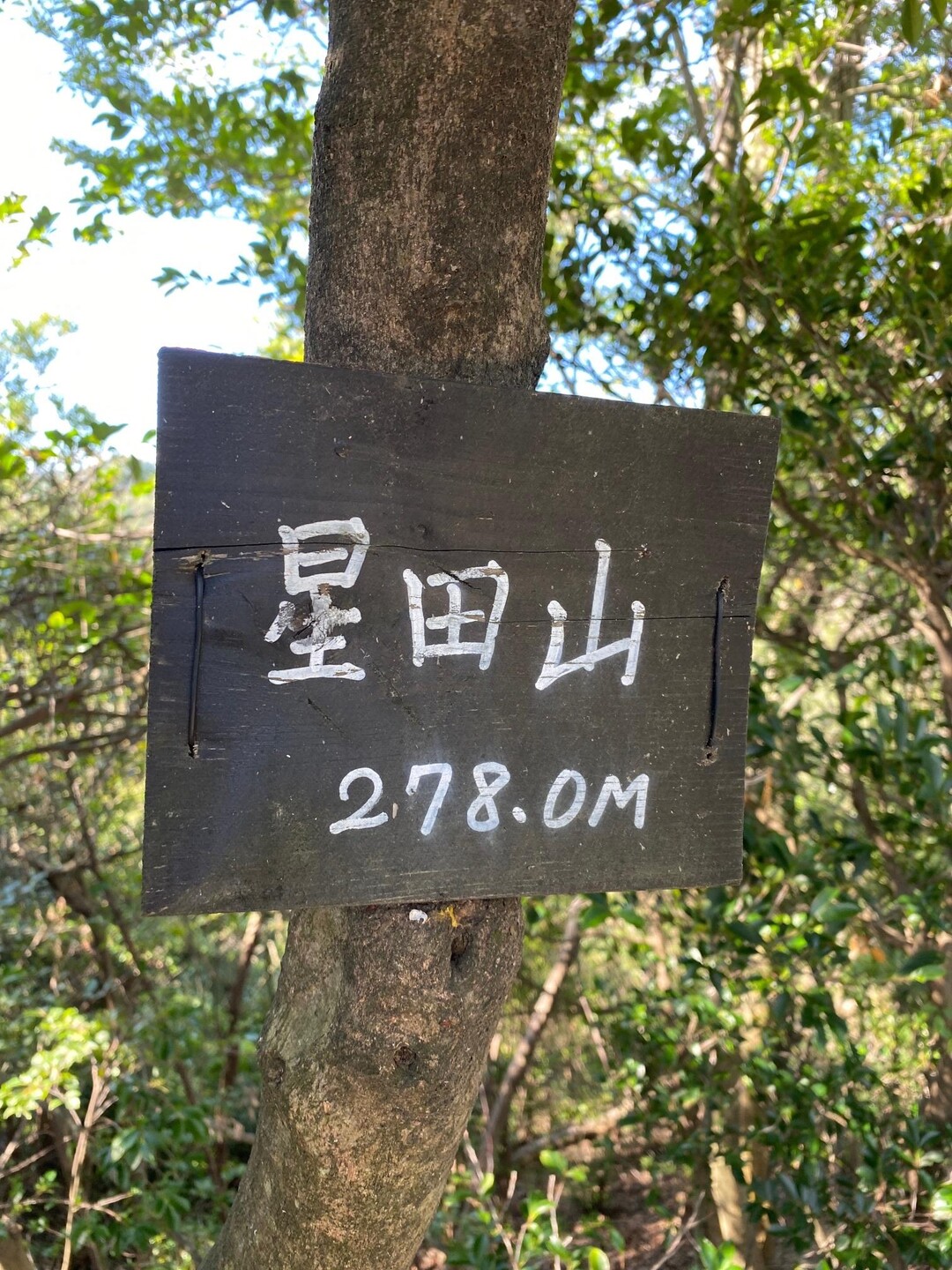 星田連山⛰ピークラッシュ 37/60😆 / 51-GOGOさんの交野山・国見山の活動データ | YAMAP / ヤマップ