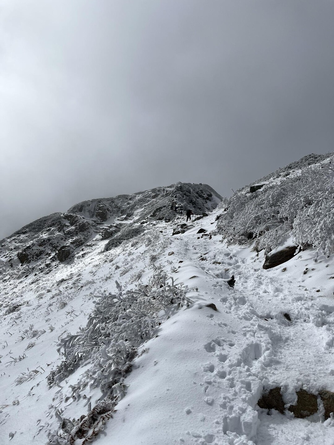 八方山・唐松岳 / Kodaiさんの鹿島槍ヶ岳・五竜岳（五龍岳）・唐松岳の活動データ | YAMAP / ヤマップ