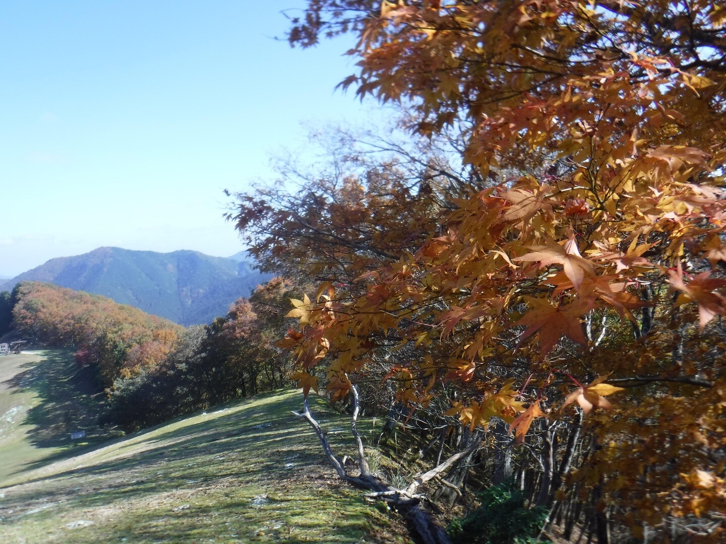 藤無山 / yuuさんの藤無山の活動データ | YAMAP / ヤマップ