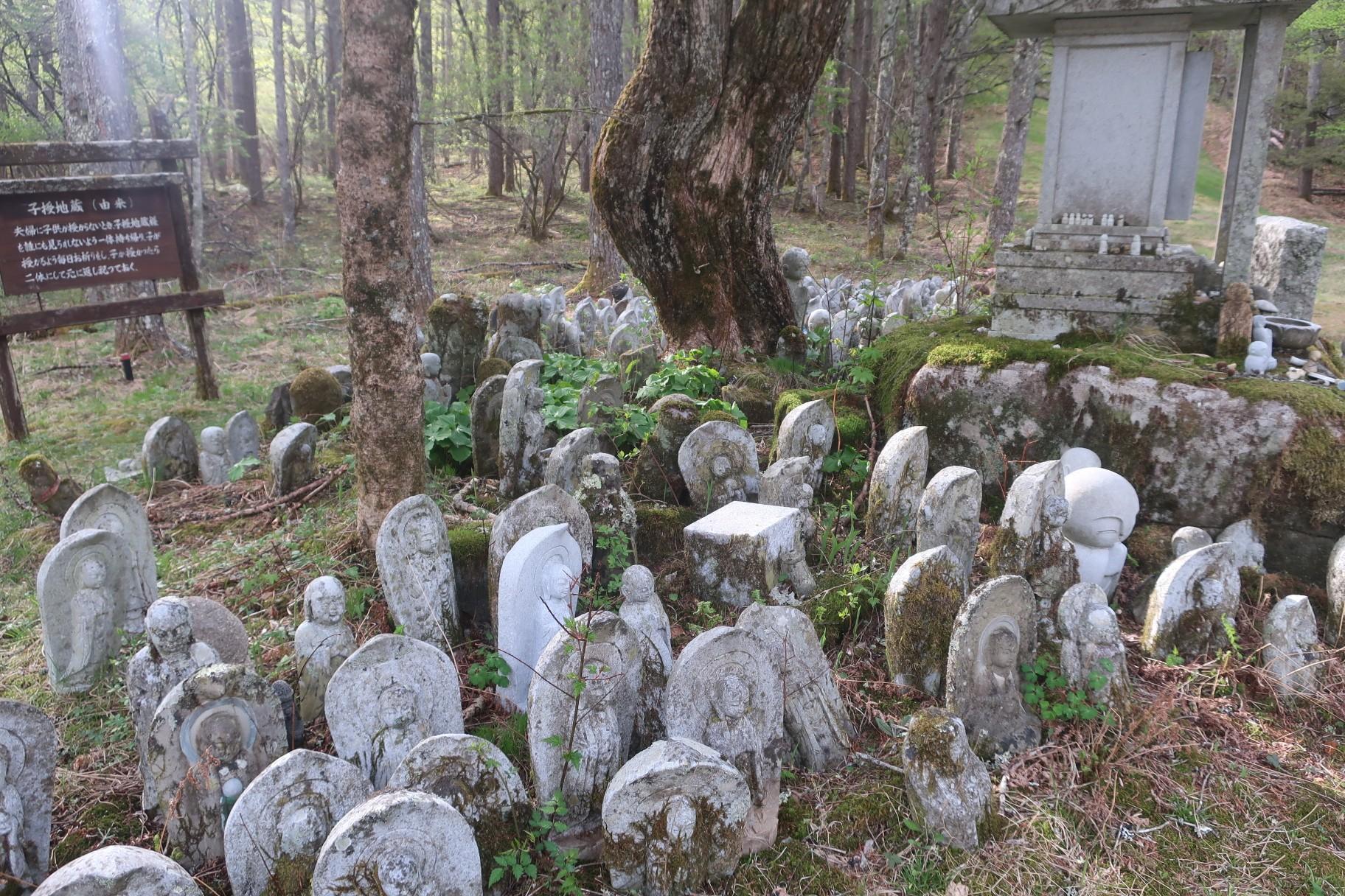 小楢山2nd / 鈴木さんの瑞牆山・金峰山の活動データ | YAMAP / ヤマップ