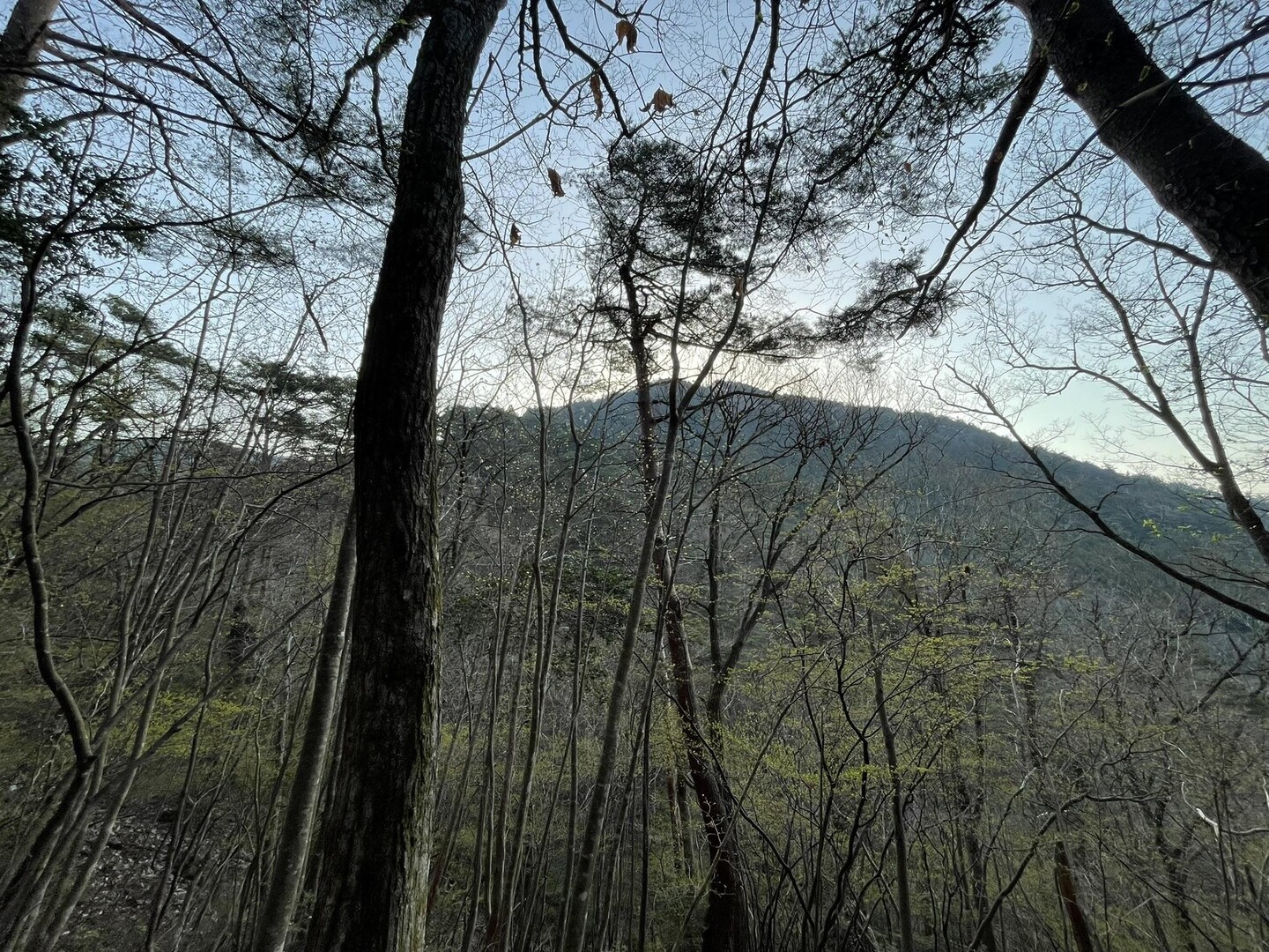 中根山(下呂富士) / Yuminaさんの中根山（下呂富士）の活動データ | YAMAP / ヤマップ