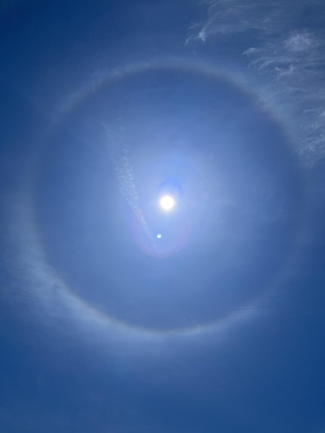 権現山・霊仙山 / Jimさんの皆子山の活動データ | YAMAP / ヤマップ