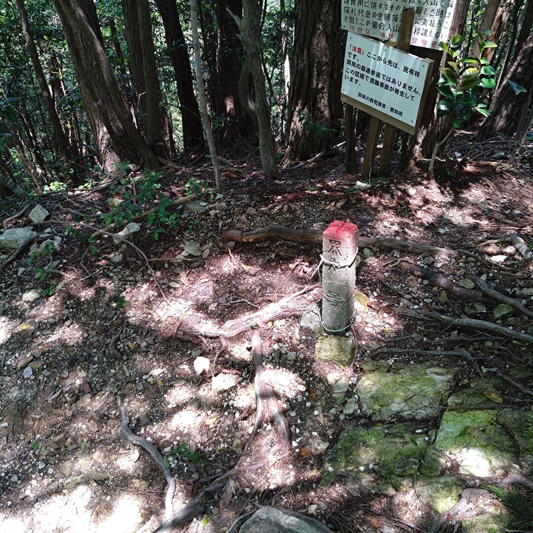 Minoruさんの投稿したフィールドメモ | YAMAP / ヤマップ