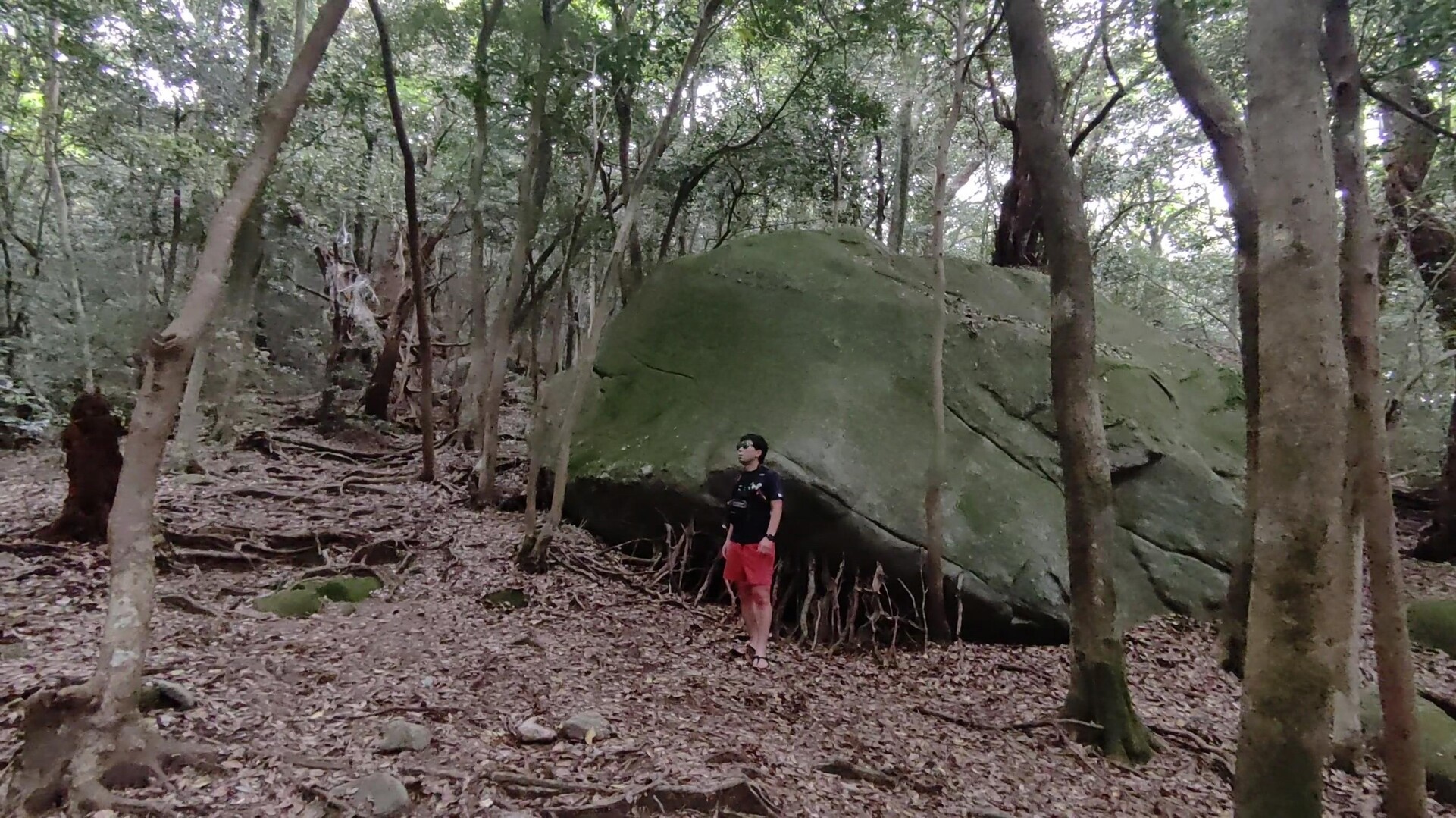 12年前に設置した標識を確認に御手水の滝コースで九千部山ピストン🚶‍♂ / RYUさんの九千部山・石谷山の活動データ | YAMAP / ヤマップ