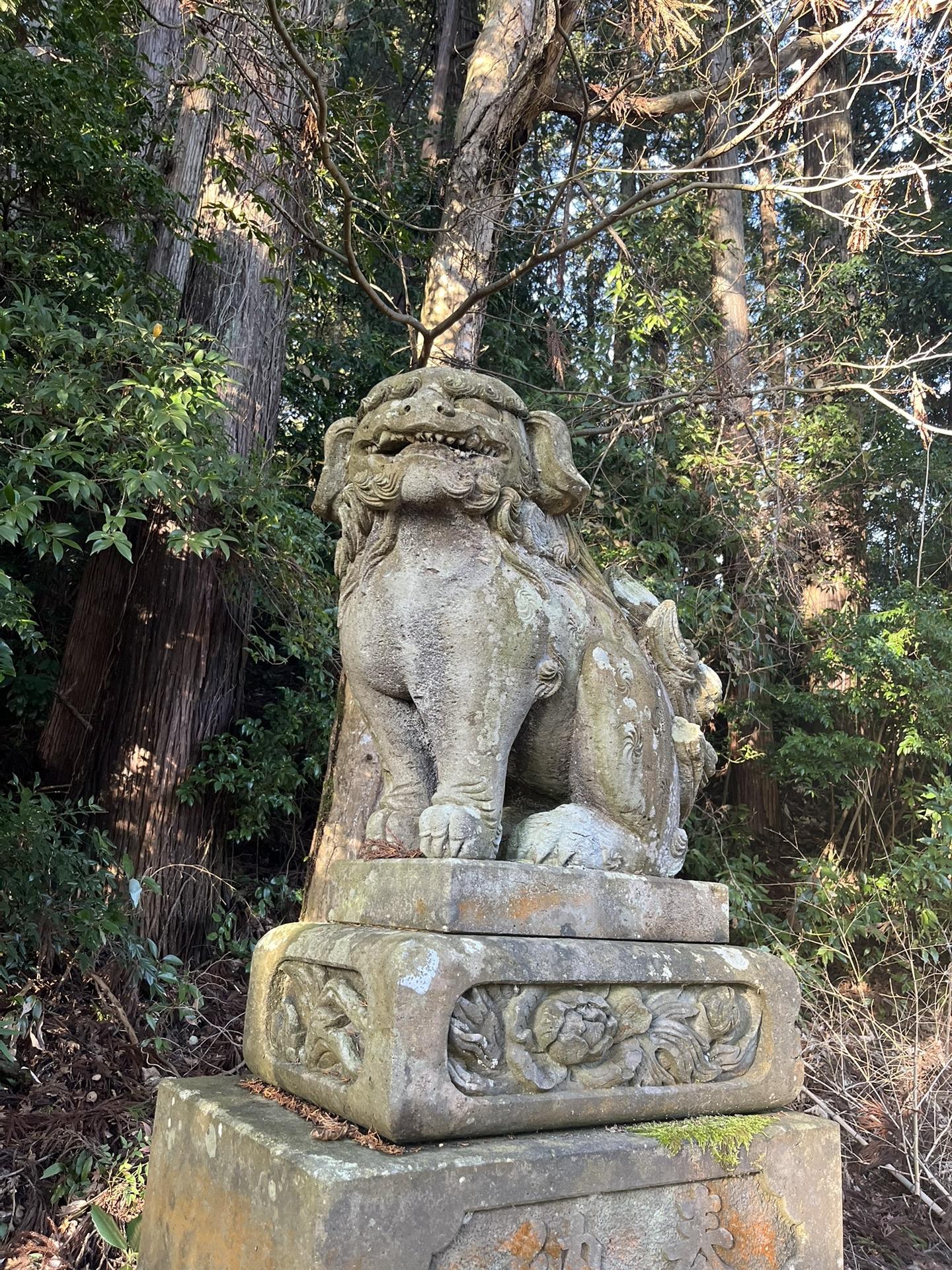 堂山13/13 fin😉 / まーさんさんの小谷山・徳生山・経塚山の活動データ | YAMAP / ヤマップ