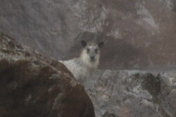 sakiのページ | YAMAP / ヤマップ