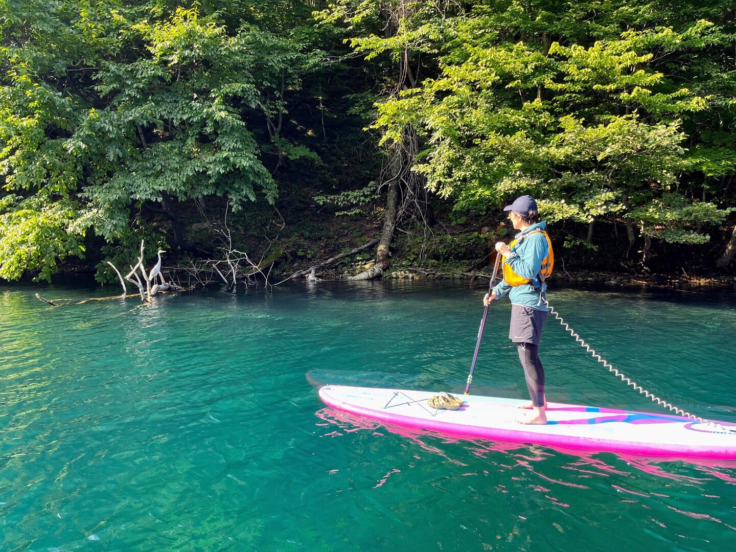 hiromiのページ | YAMAP / ヤマップ