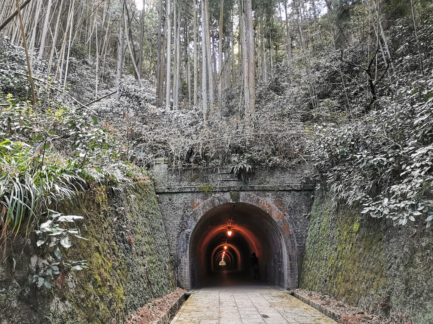 満観峰〜明治トンネル / takahiro.aoshimaさんの焼津アルプス（高草山・満観峰・花沢山）・徳願寺山の活動データ | YAMAP ...