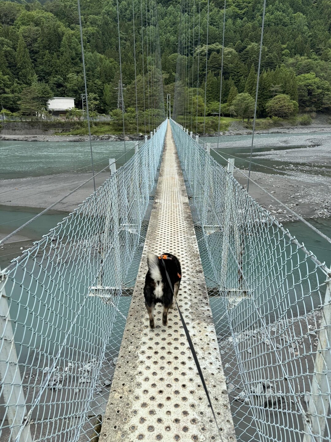 黒河内岳（笹山）★下見だけ / ta614さんの黒河内岳（笹山）・白河内岳・白剥山の活動データ | YAMAP / ヤマップ