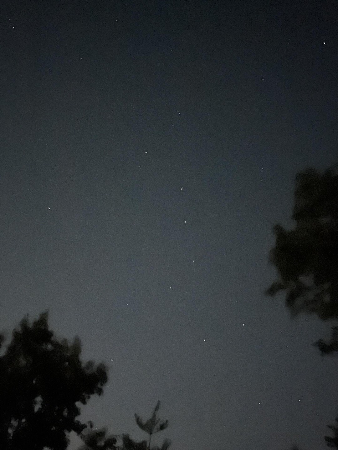 秋津富士 / pon-pokoさんの三草山の活動データ | YAMAP / ヤマップ